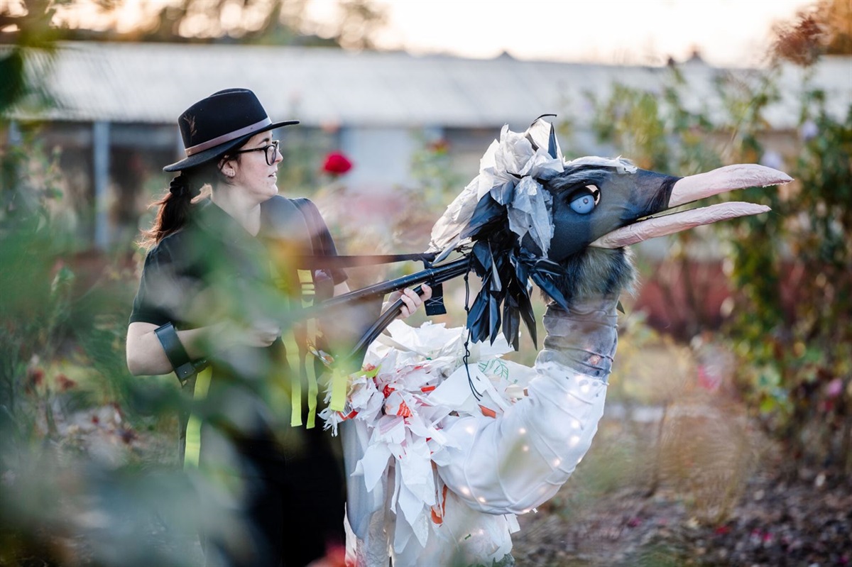 Hatched | Visit Chatswood
