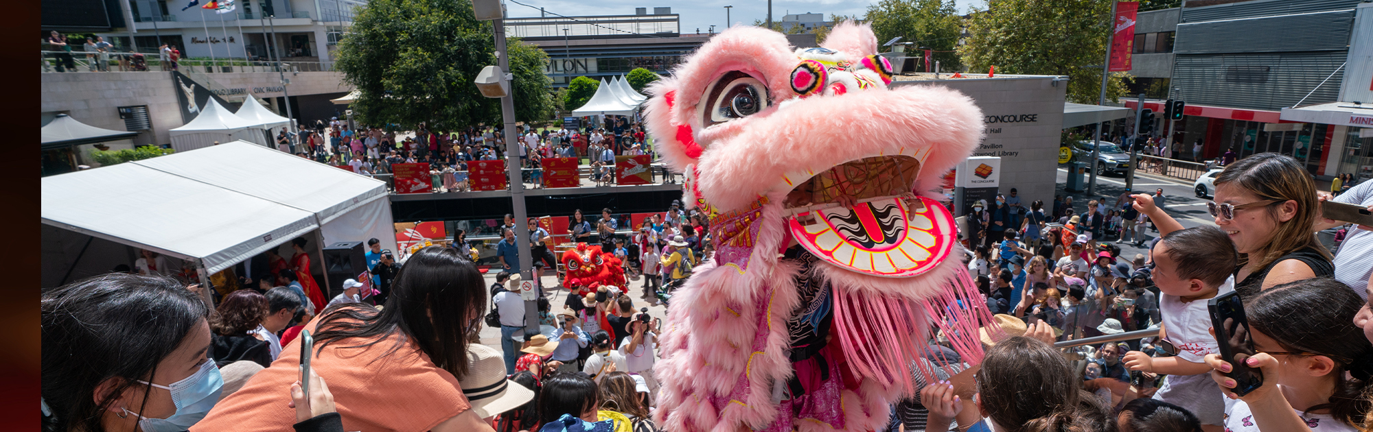 Home | Chatswood Year of the Rabbit Festival