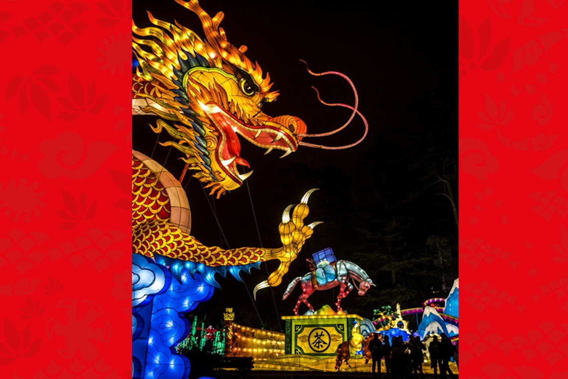 Westfield Chatswood photo opps, Wishing Tree and more | Chatswood Year ...